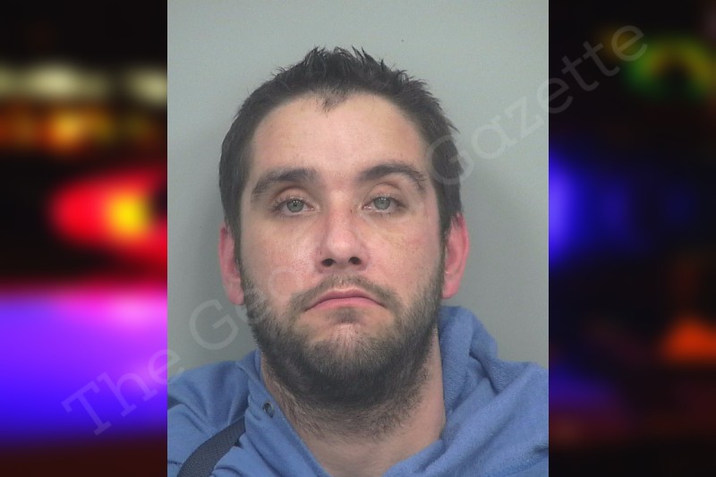 Anthony Stein — Gwinnett County Jail Bookings