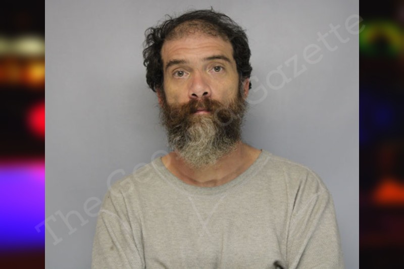 Alexander Stephens — Hall County Jail Bookings