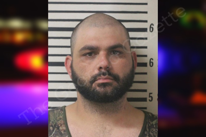Nicholas Stephens — Toombs County Jail Bookings