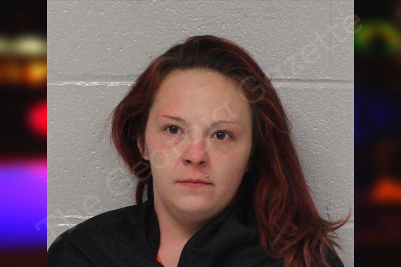 Mikayla Sticher — Carroll County Jail Bookings