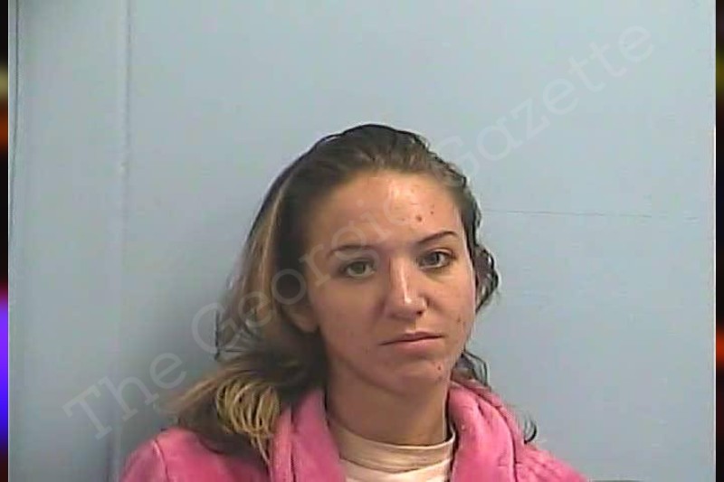 Alicia Shook — Dawson County Jail Bookings