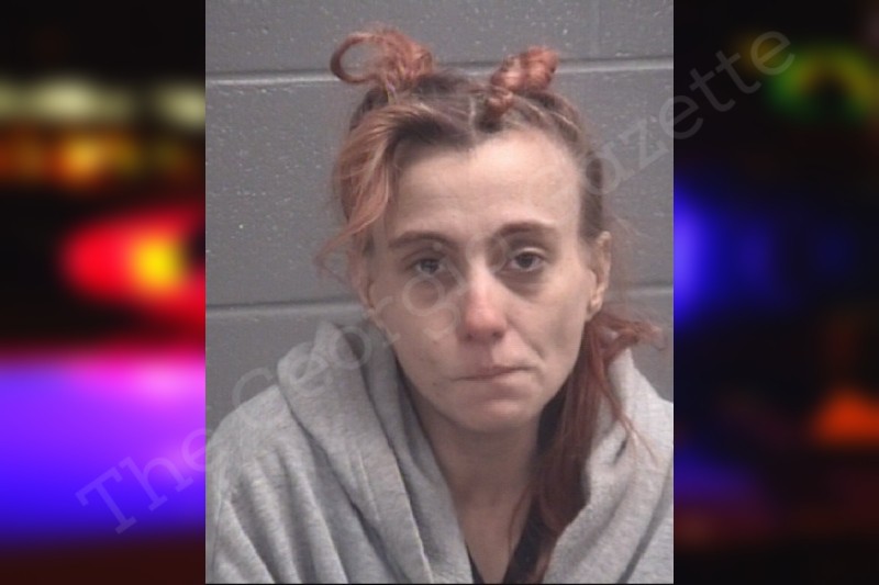Laura Sneed — Spalding County Jail Bookings