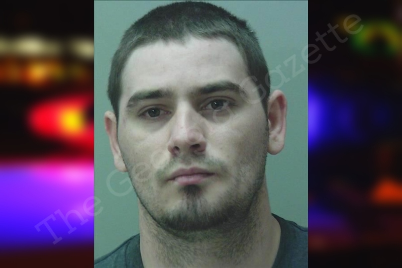 Dominick Spaulding — Towns County Jail Bookings