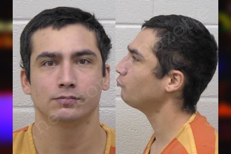 Murl Stansel — Paulding County Jail Bookings