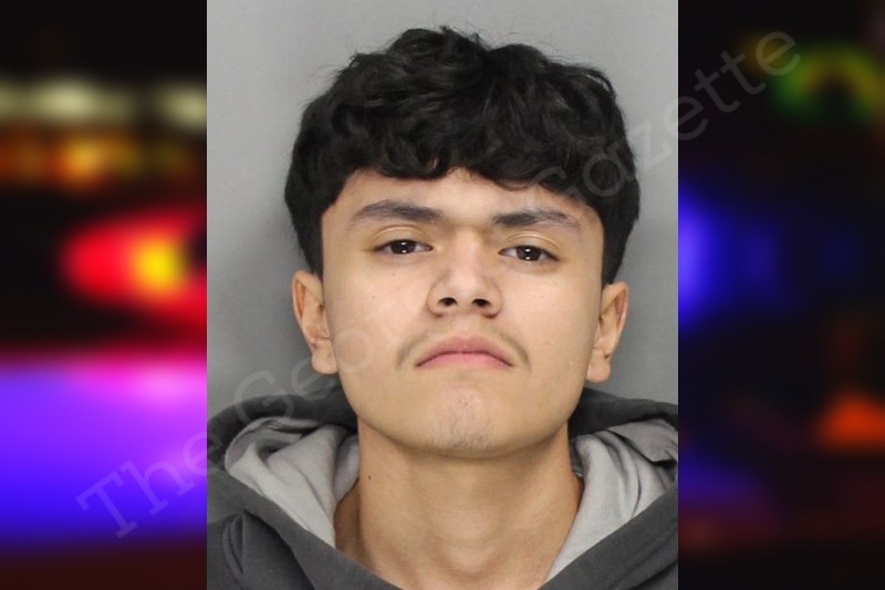 Alexis Tello — Cobb County Jail Bookings