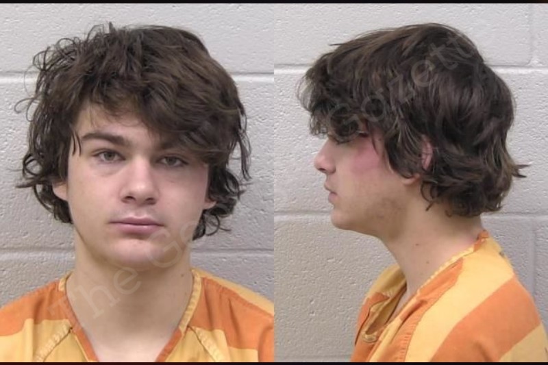 Joshua Taylor — Paulding County Jail Bookings
