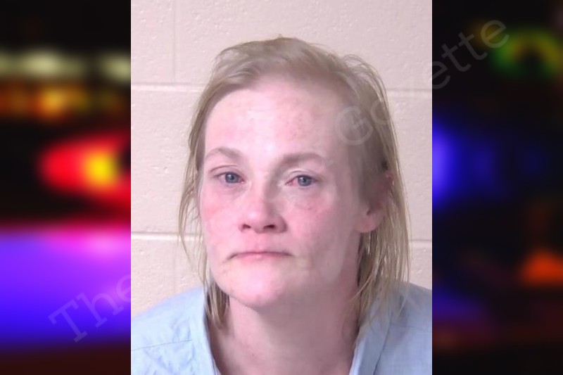 Mariam Tomlinson — Walker County Jail Bookings