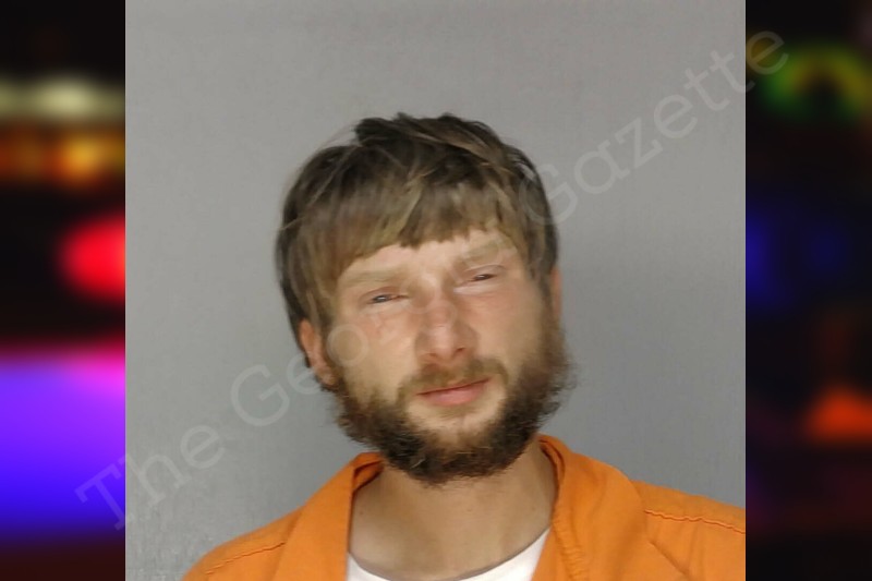 Travis Haynes — Bibb County Jail Bookings