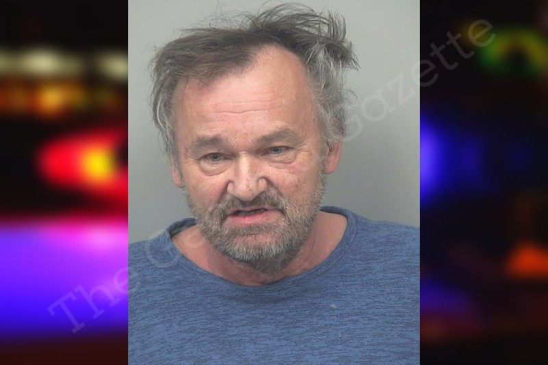 Petr Valek — Gwinnett County Jail Bookings