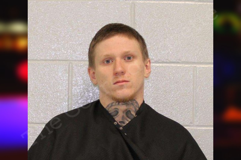 Austin Vanstavern — Carroll County Jail Bookings