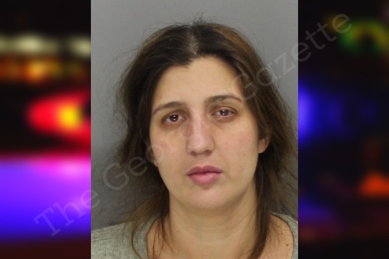 Evelina Velcu — Cobb County Jail Bookings