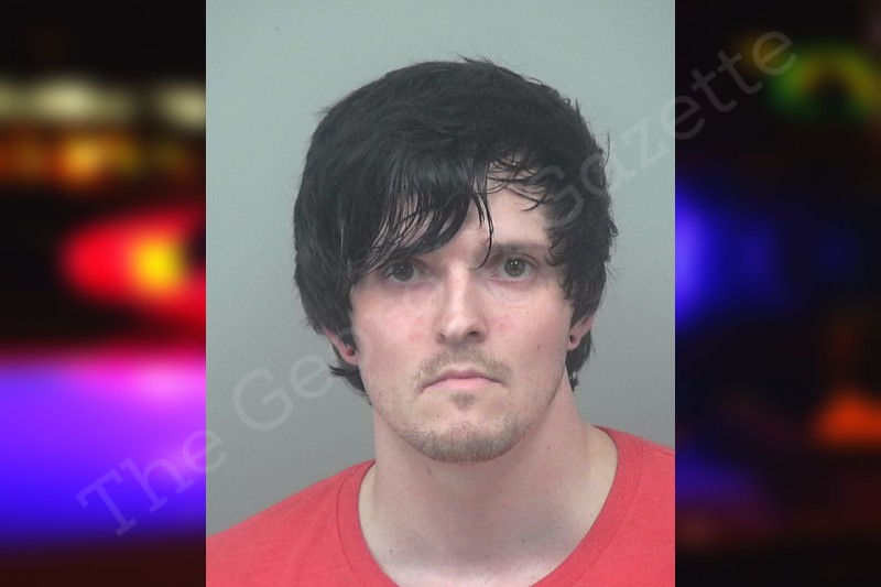 Robyn Walser — Gwinnett County Jail Bookings