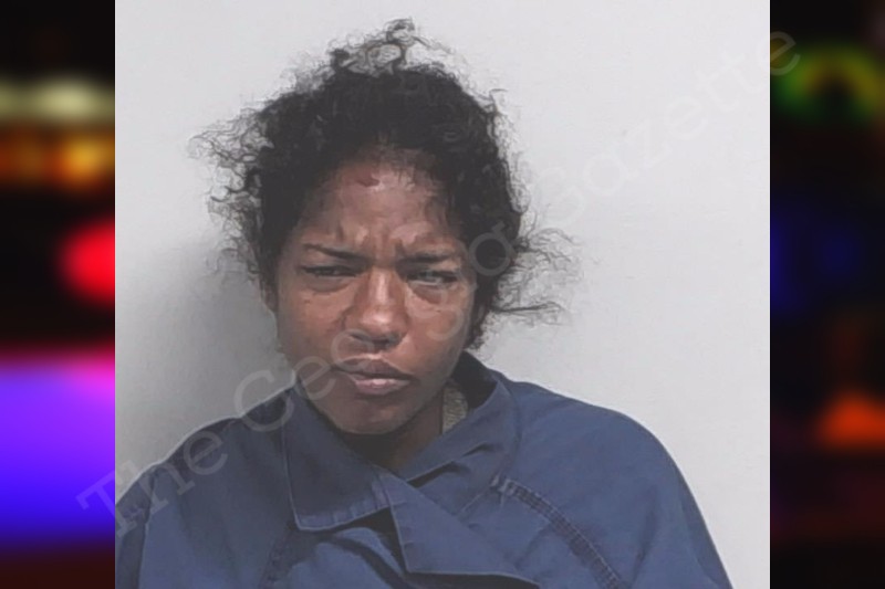 Danielle Washington — Lowndes County Jail Bookings