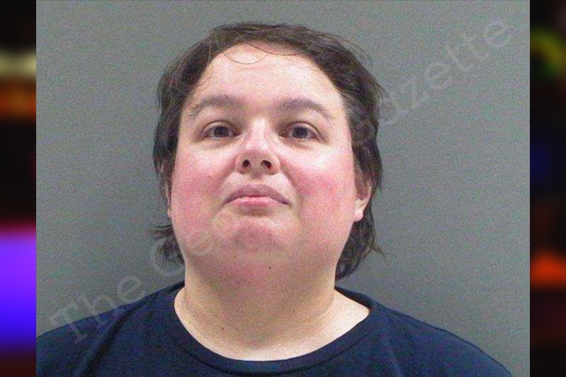 Sarah Watson — Rabun County Jail Bookings