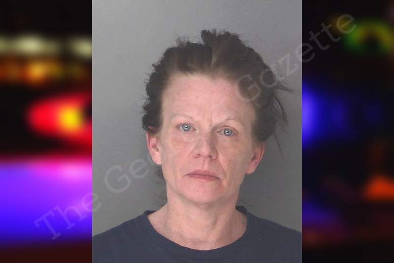 Kimberly Whitmire — Douglas County Jail Bookings
