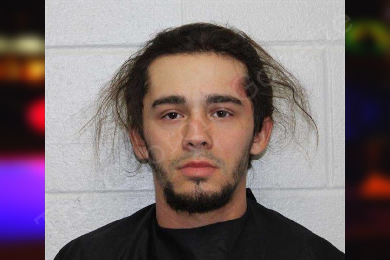 Thomas Wilson — Habersham County Jail Bookings