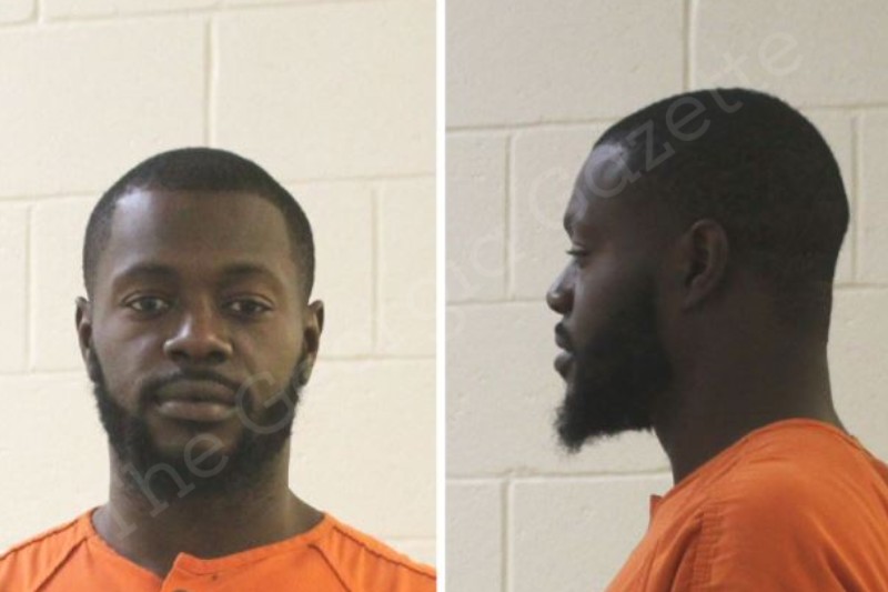 Brison Williams — Houston County Jail Bookings