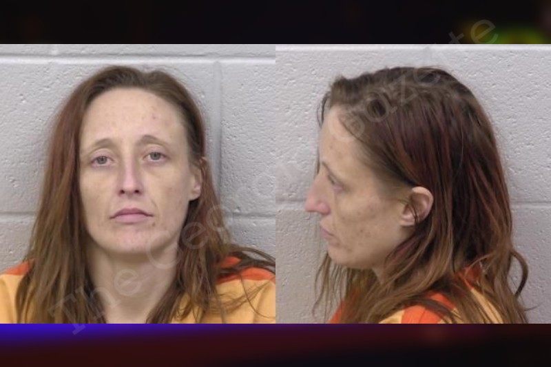 Kelly Williamson — Paulding County