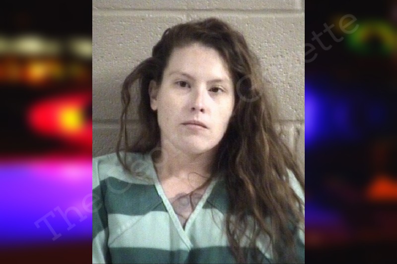 Emily Young — Whitfield County Jail Bookings