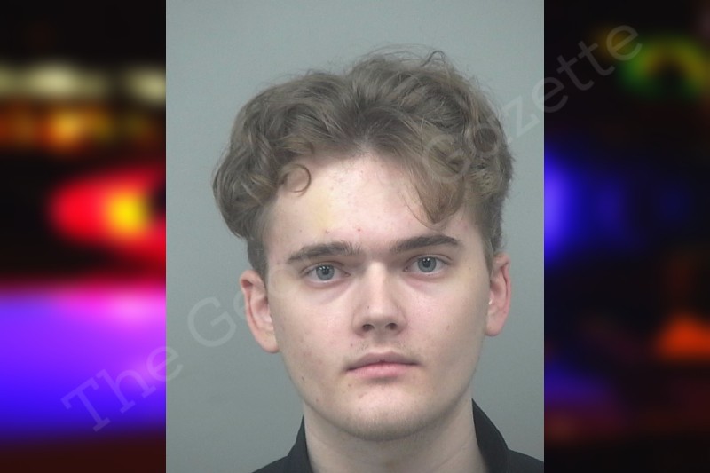 Tyler Adams — Gwinnett County Jail Bookings