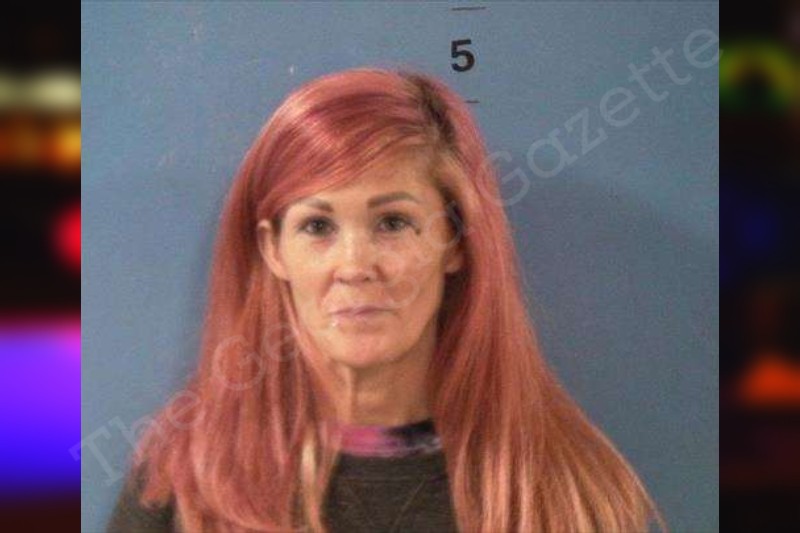 Brandy Adkins | Monroe County Jail Bookings