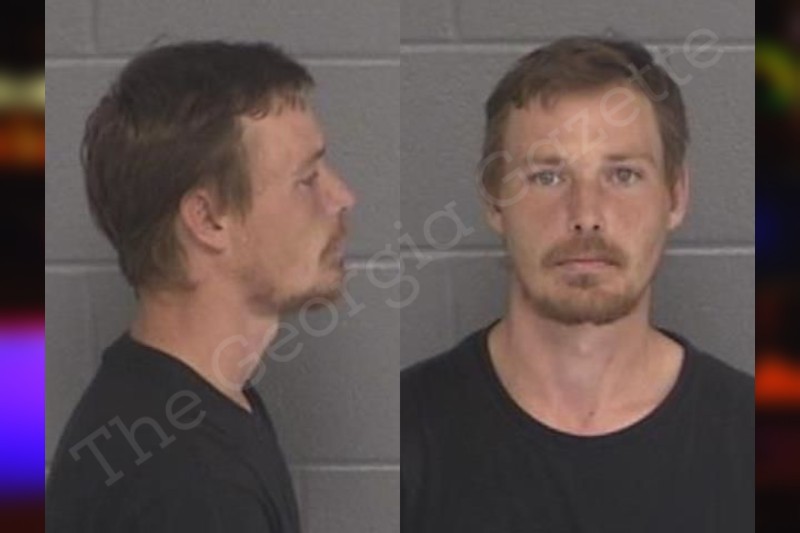 Lester Archer — Barrow County Jail Bookings
