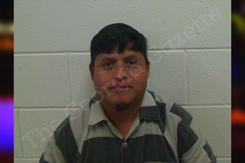Agustin Austin-Velasquez — Bulloch County Jail Bookings