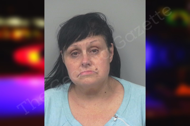 Meredith Brown — Gwinnett County Jail Bookings