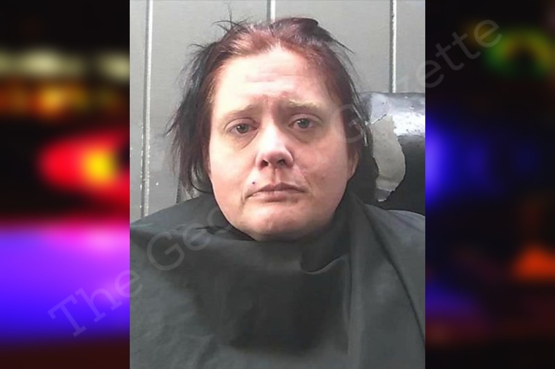 Kristin Brown — Hart County Jail Bookings