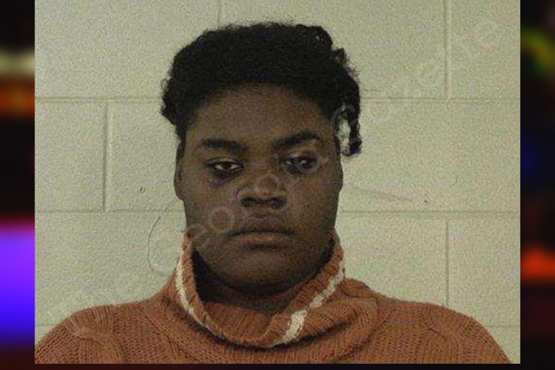 Erica Brunson — Liberty County Jail Bookings