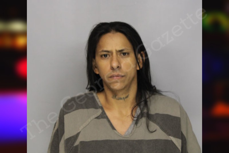 Nelvin Castillo — Hall County Jail Bookings