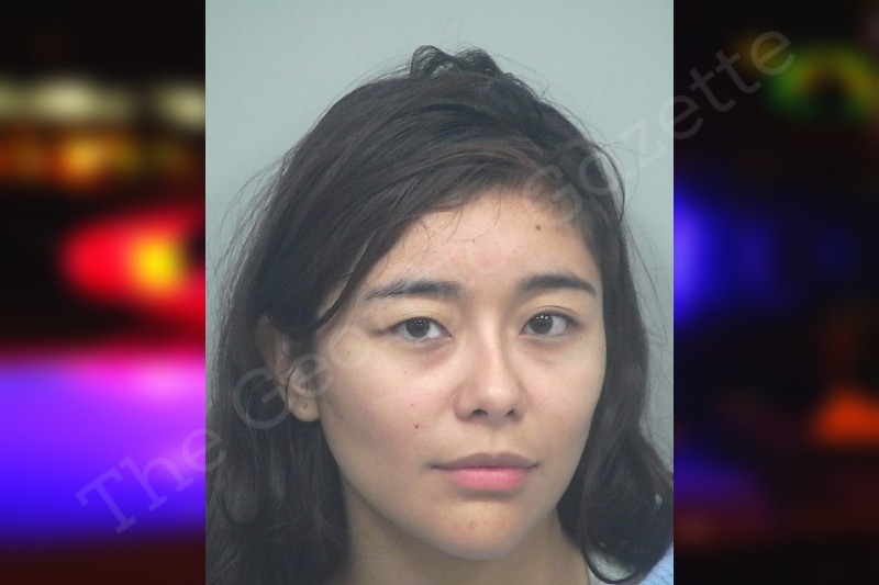 Selena Chavez Villanueva — Gwinnett County Jail Bookings