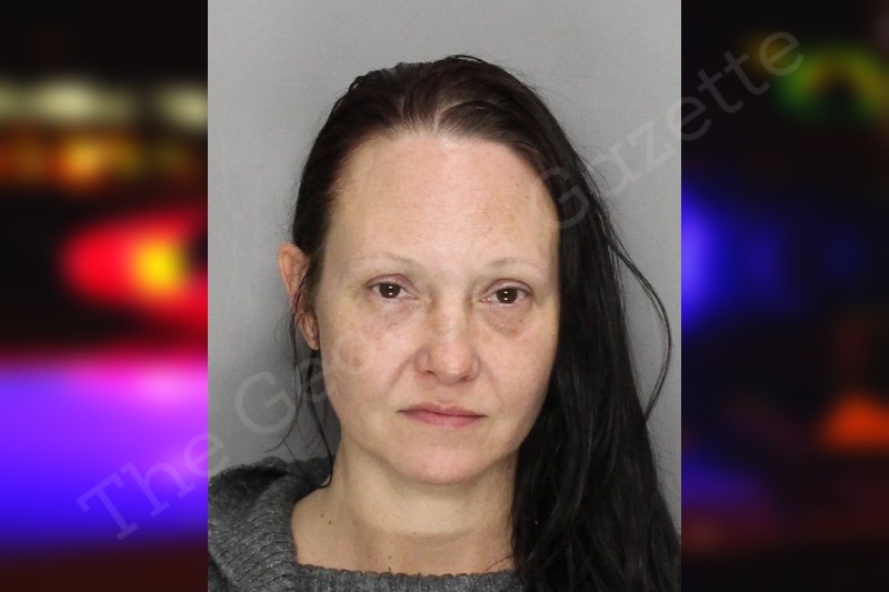 Rona Clark — Cobb County Jail Bookings