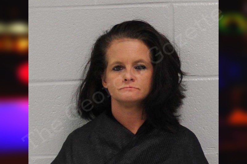 April Collins — Carroll County Jail Bookings