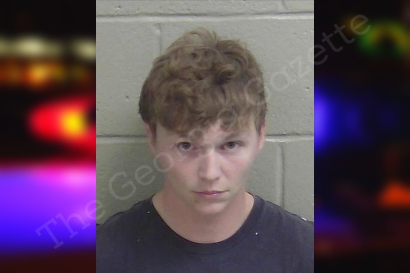 Alex Chambers — Wayne County Jail Bookings