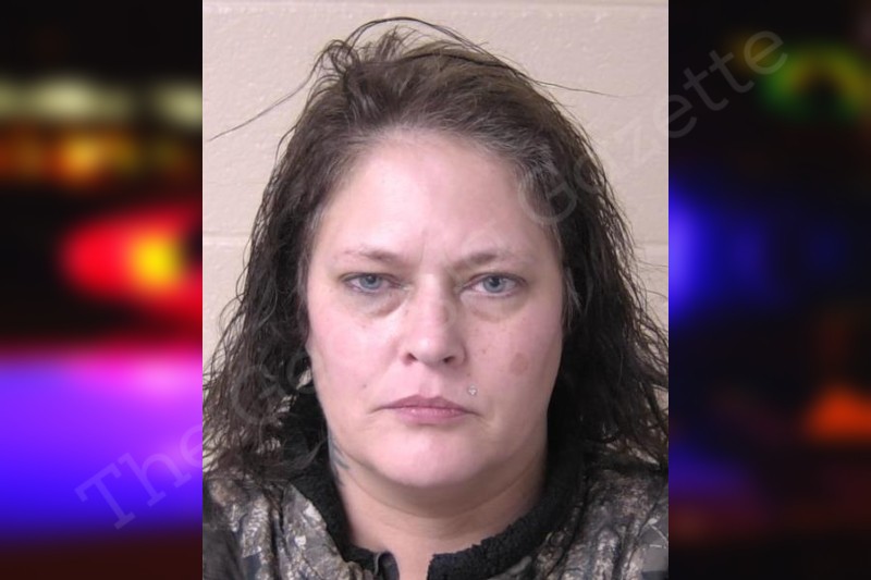 Stephene Chambers — Walker County Jail Bookings