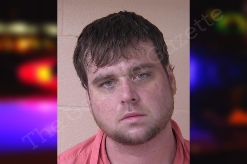 Tanner Collins — Walker County Jail Bookings