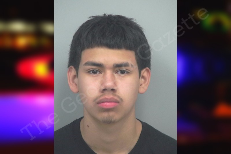 Jayden Diaz — Gwinnett County