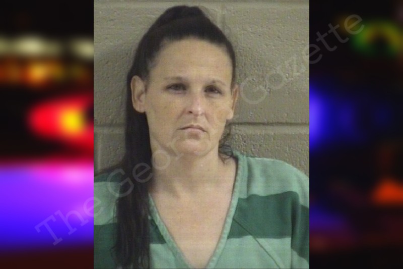 Pamela Denney — Whitfield County Jail Bookings