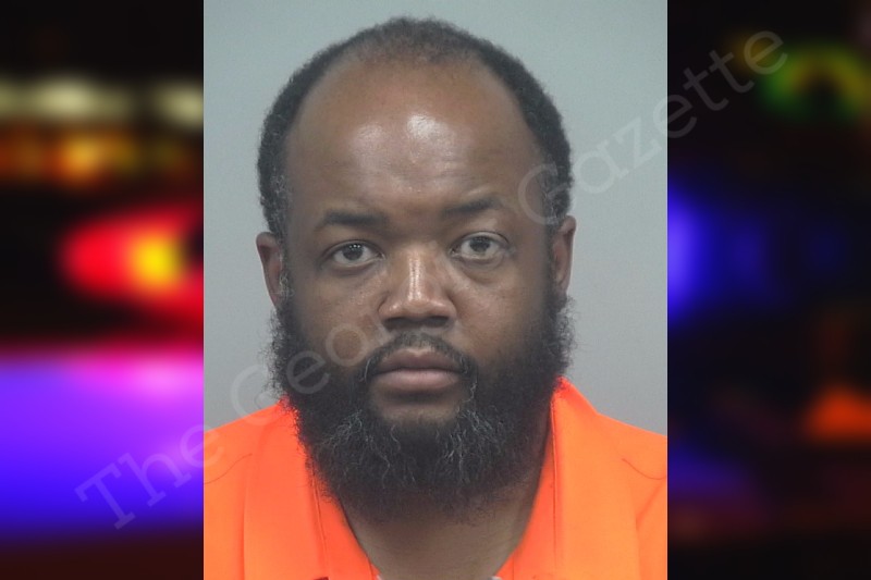 Bekisisa Elie — Gwinnett County Jail Bookings