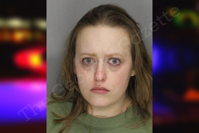 Emily Elkins — Cobb County Jail Bookings