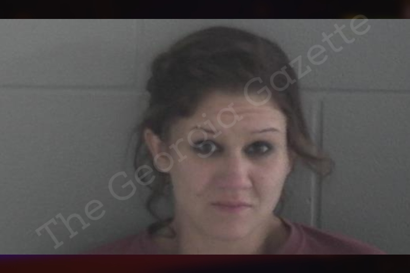 Megan Fredericks — Brantley County Jail Bookings