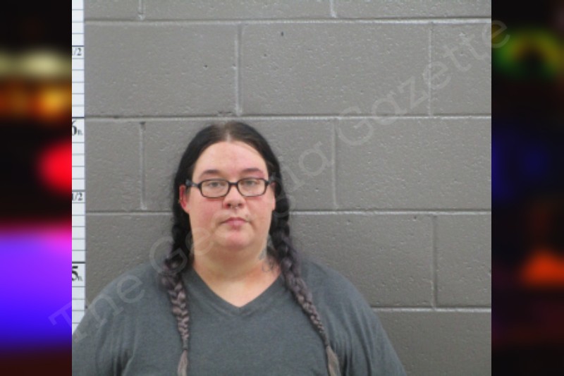Casey Satterfield — Banks County Jail Bookings