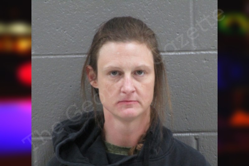 Melissa Toole — Banks County Jail Bookings