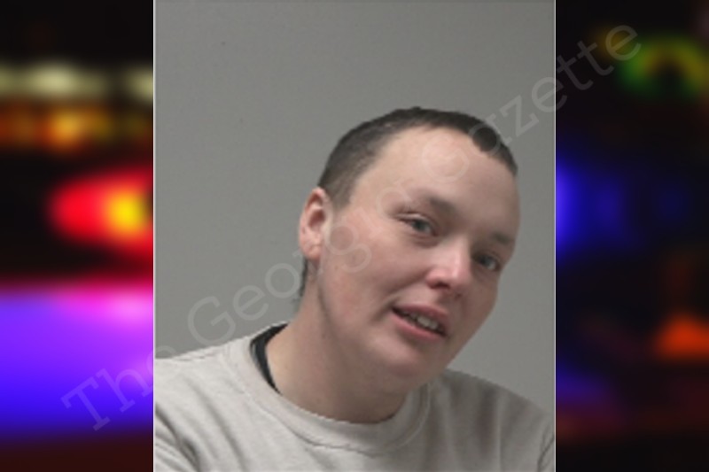 Amber George — Coweta County Jail Bookings