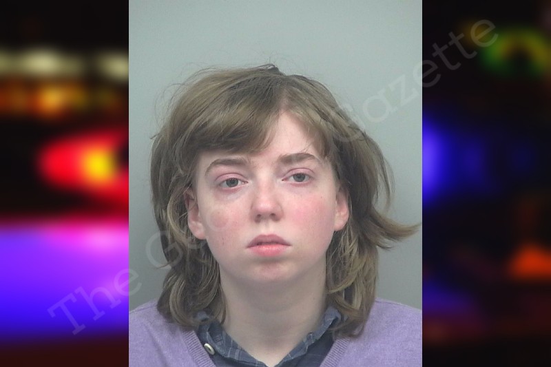 Megan George — Gwinnett County Jail Bookings