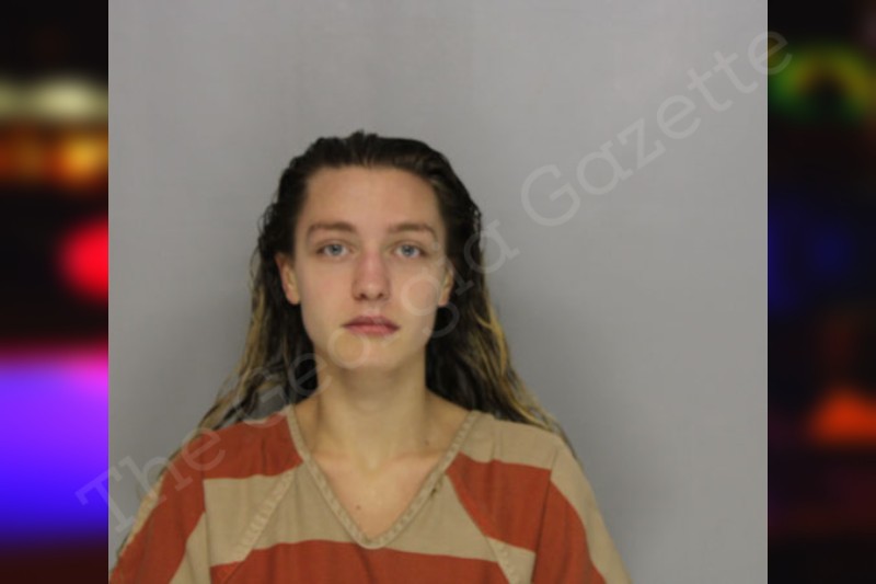 Lillie Gress — Hall County Jail Bookings