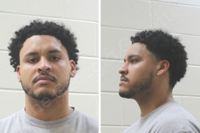 Michael Garner — Houston County