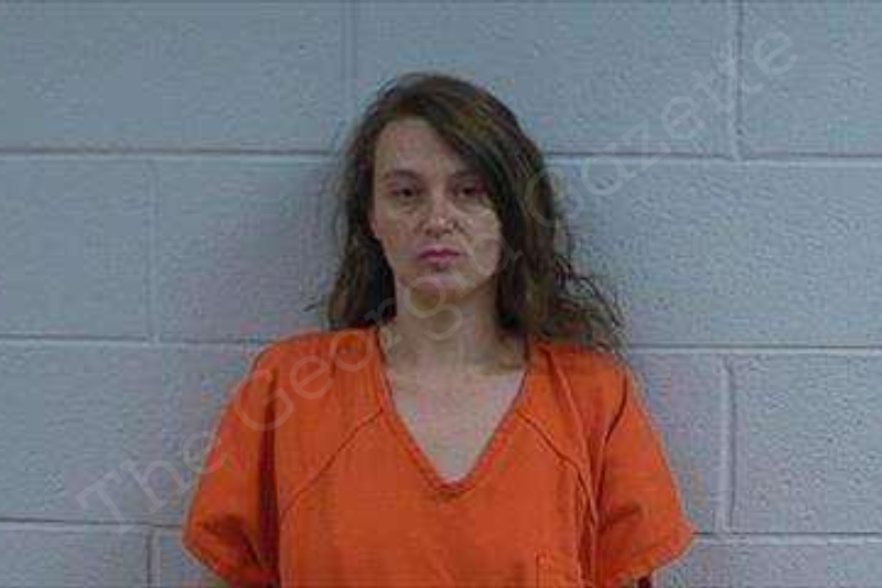 Krista George — Polk County Jail Bookings