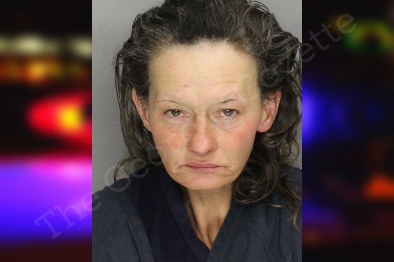 Robin Hoskins — Cobb County Jail Bookings